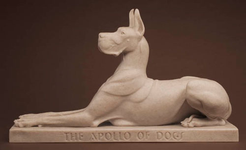 The Apollo of Dogs